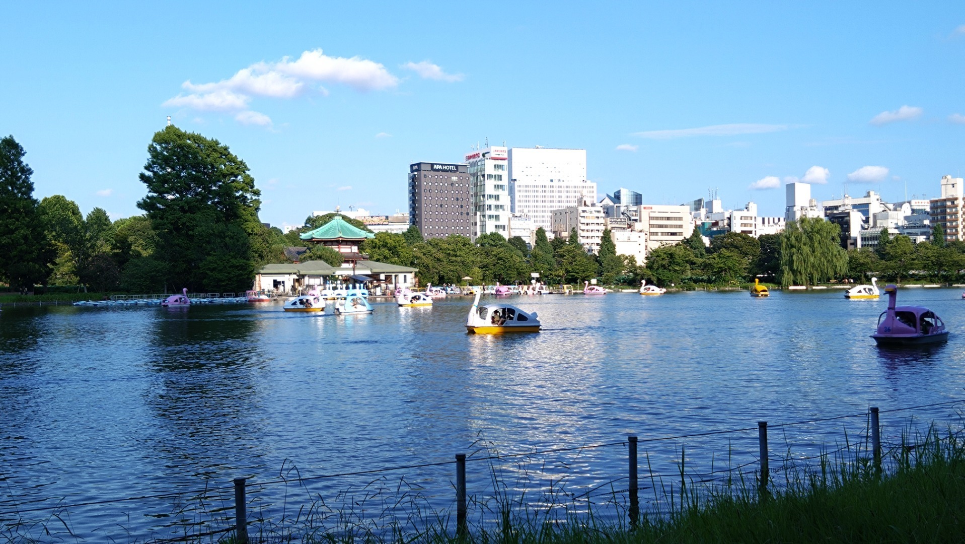 上野の不忍池を巡る: 平平凡凡これ良日